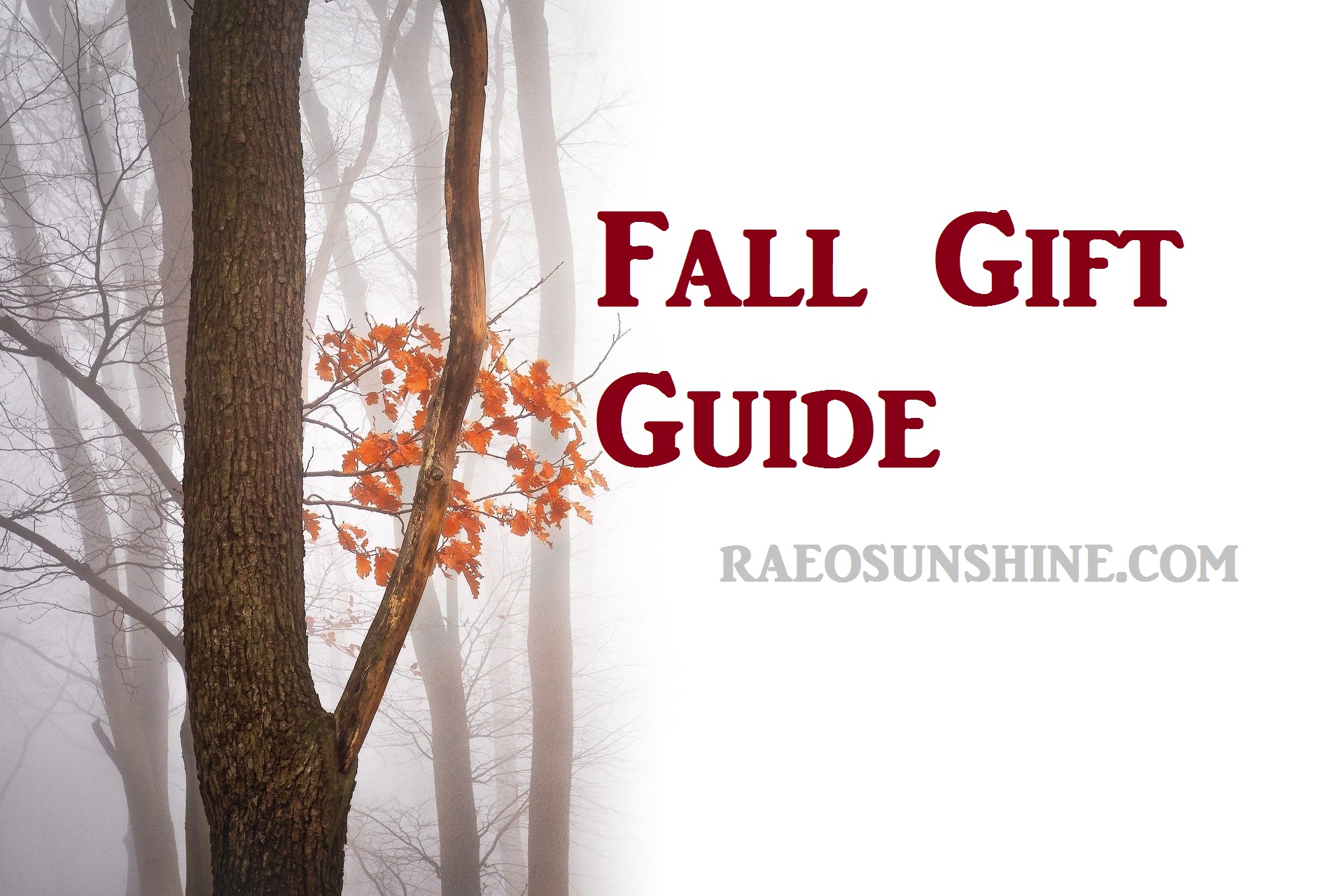 Items to Make Your Fall Fabulous! - Raeosunshine
